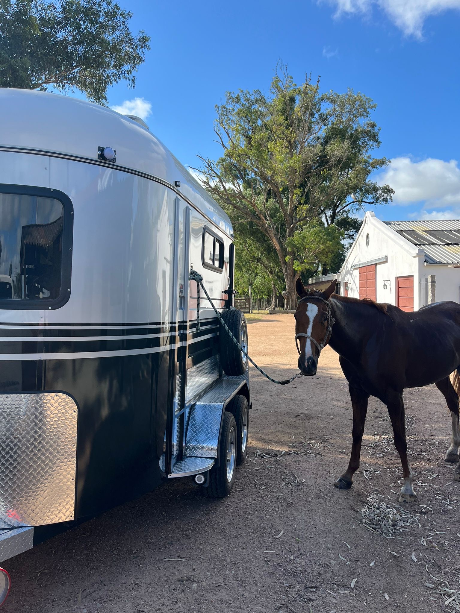 #1 Trailer de Caballos Vertical para 2 Equinos | modelo "FULL ...