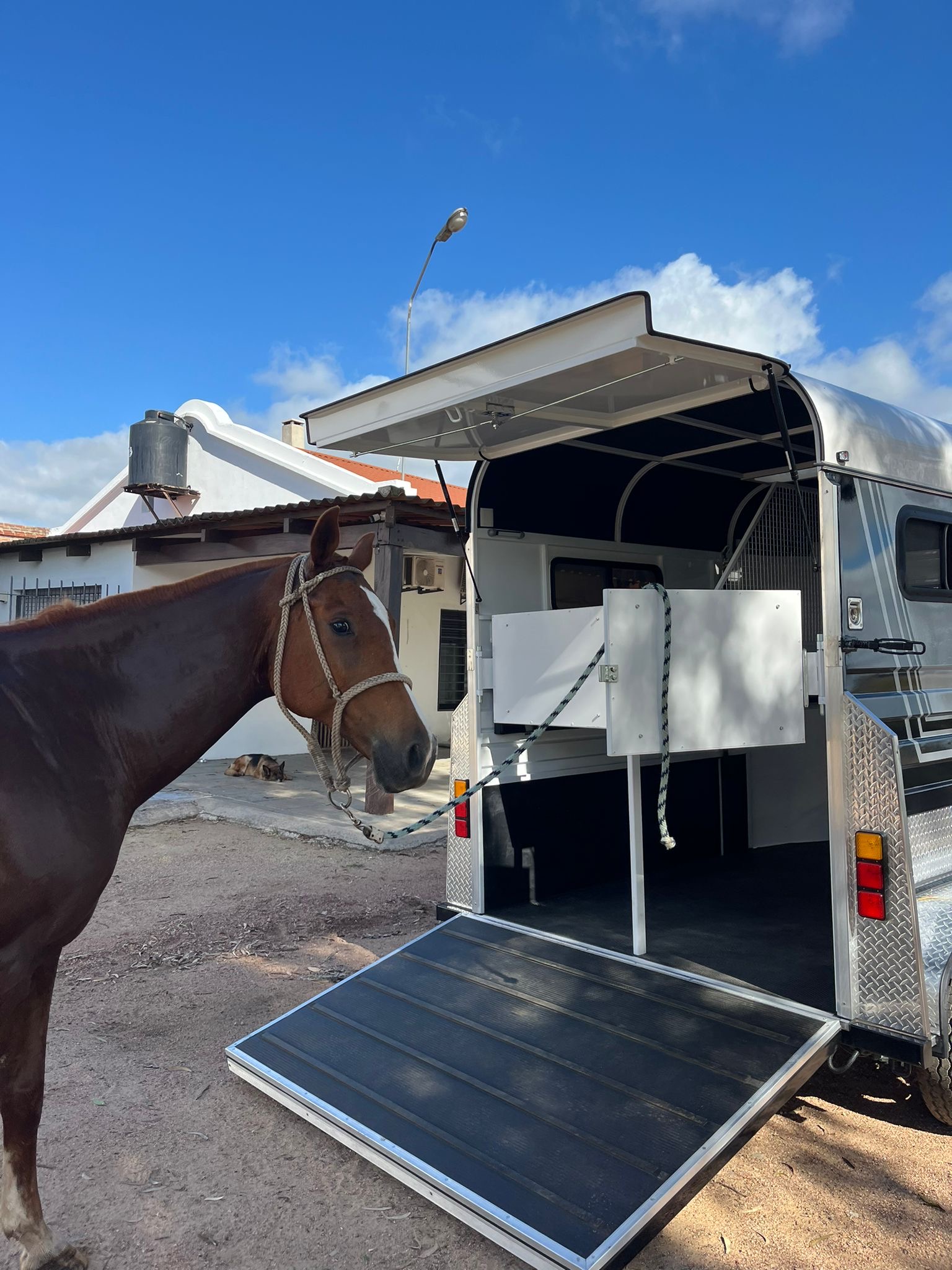 #1 Trailer de Caballos Vertical para 2 Equinos | modelo "FULL ...